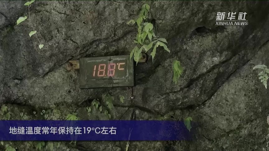 湖南张家界:避暑旅游 乐享清凉