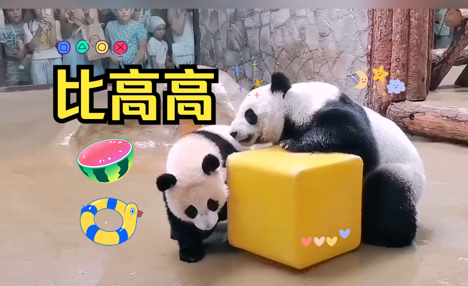 大熊猫宝宝成长记