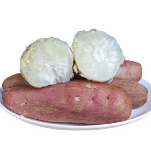 专业烤白薯