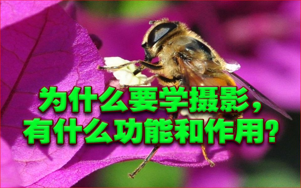 003 为什么要学摄影,有什么功能和作用?