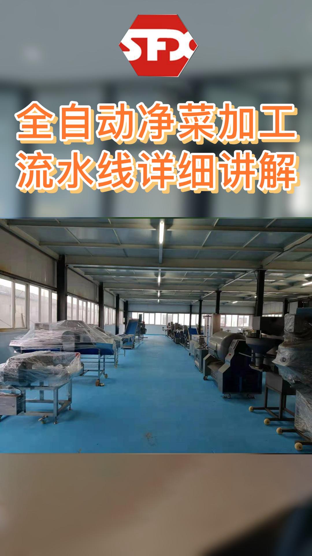 带大家了解一下净菜加工的所有流程,现代化机械生产,全自动,省时省力...