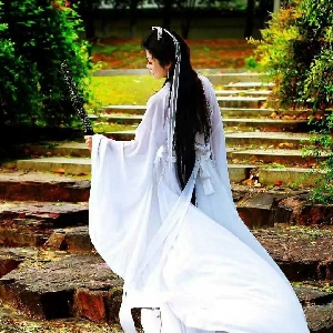 在路上的猫大人 