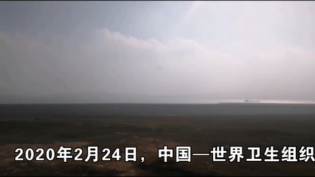 新冠病毒宿主与这两种野生动物有关?快来看看最新权威解读
