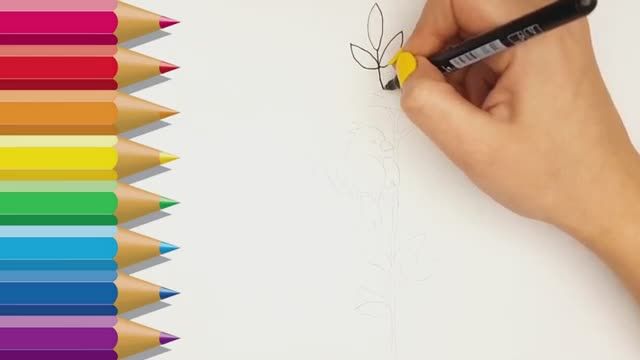 儿童简笔画:树上的小鸟