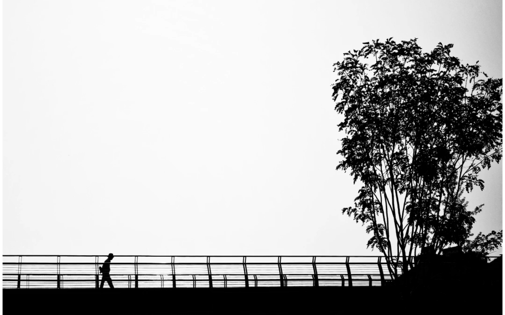 理光GR3街头摄影,近期一些照片