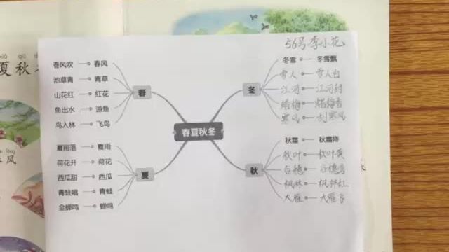 小学语文一年级就学思维导图了,这个老师太给力了。