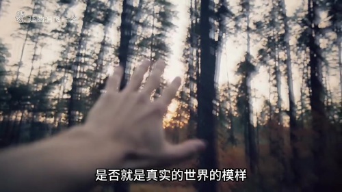 你所看到的难道就是世界原本的模样吗?盘点动物们眼中的奇异世界