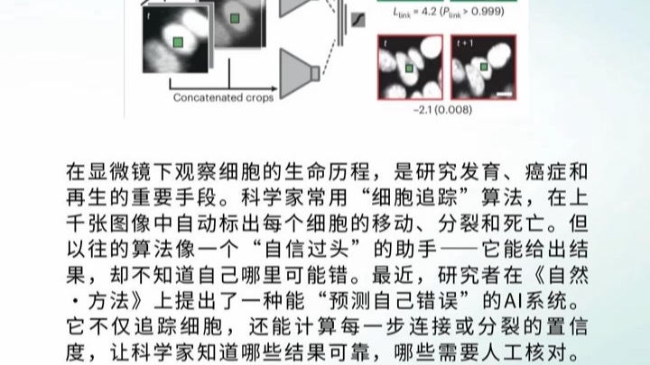 每天一个AI知识-1018 带自信度的细胞追踪算法