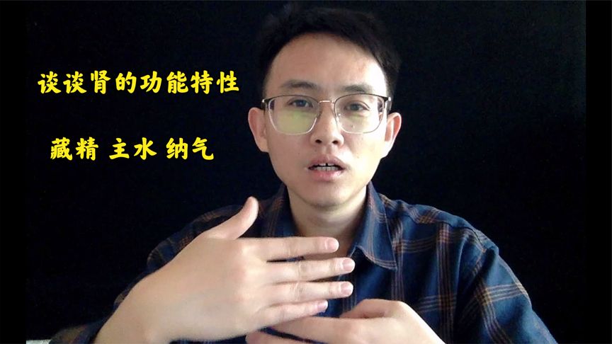 谈谈中医肾的功能 肾的特性 和肾相关的组织结构 核心是主藏精