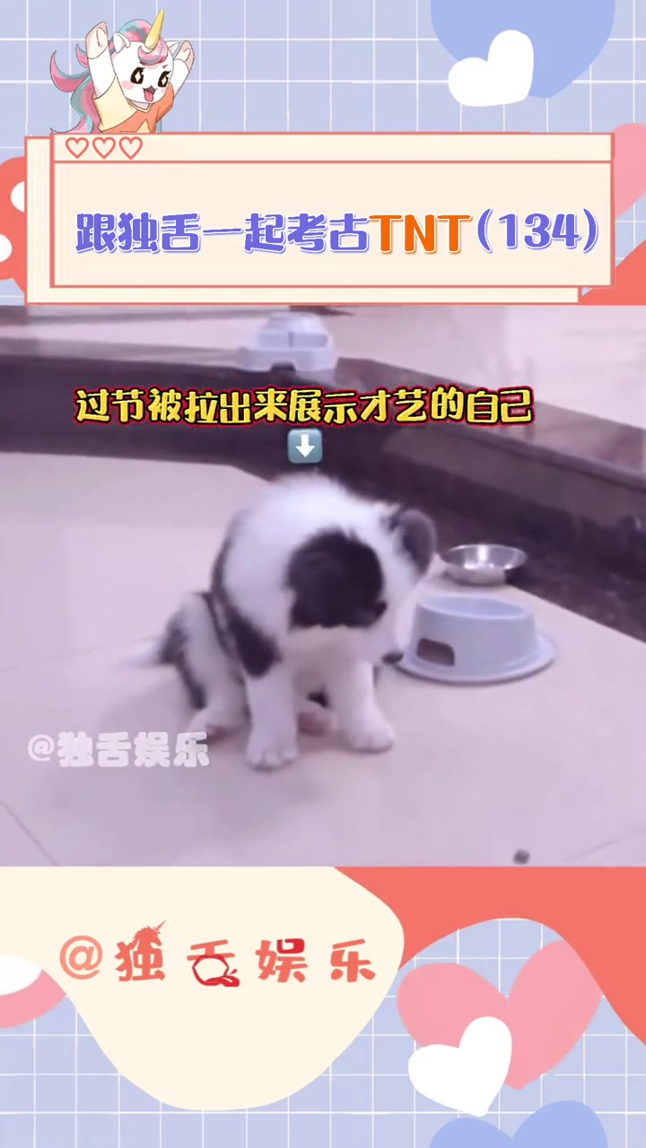 人生不易 宠物叹气 马嘉祺 宋亚轩 严浩翔 tf家族