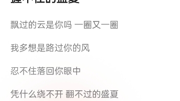 想你时风起——单依纯(你的人间烟火主题曲)