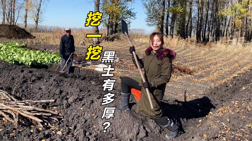 黑土到底有多厚?几万年才能形成一米厚度,属于世界稀有,真肥沃