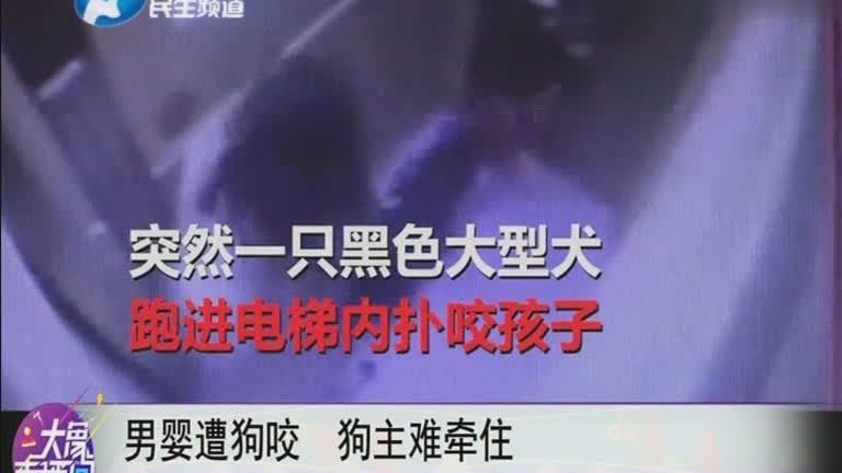 男孩被狗咬,原因竟是狗主没牵住