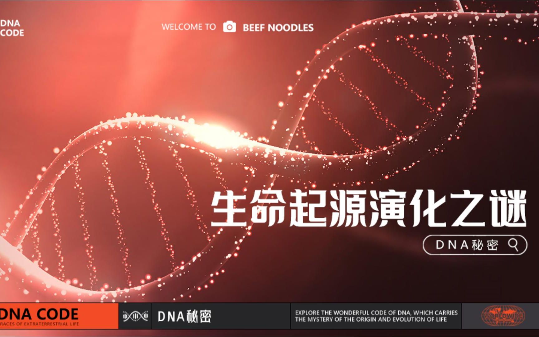 【DNA密码:生命的起源与演化之谜】