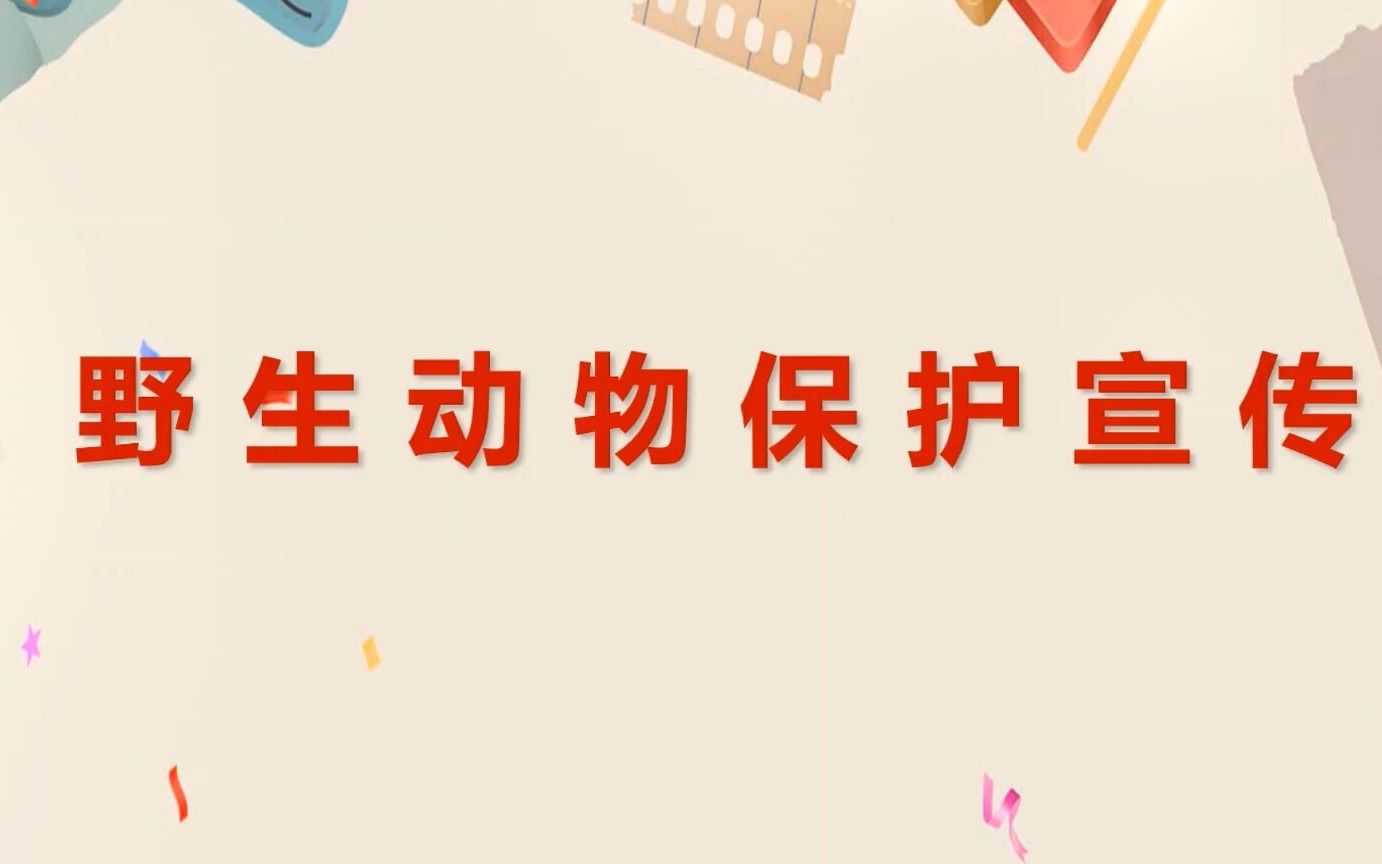 "小野带你看世界"第十五期--野生动物保护宣传小课堂(1)