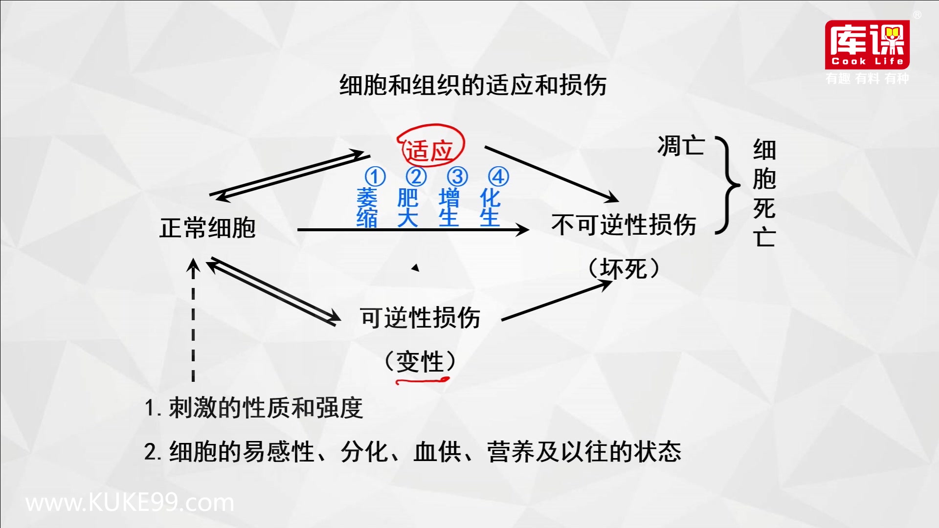 2020河南专升本病理学基冲刺课-第02章 细胞和组织的损伤与修复01
