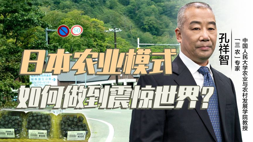 日本农业的商业模式震惊世界?孔祥智:卖菜不出门就能赚大钱