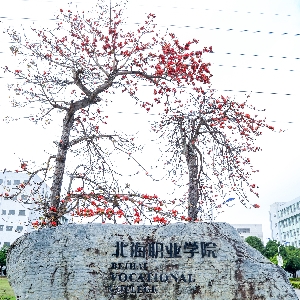 北海职业学院宣传 