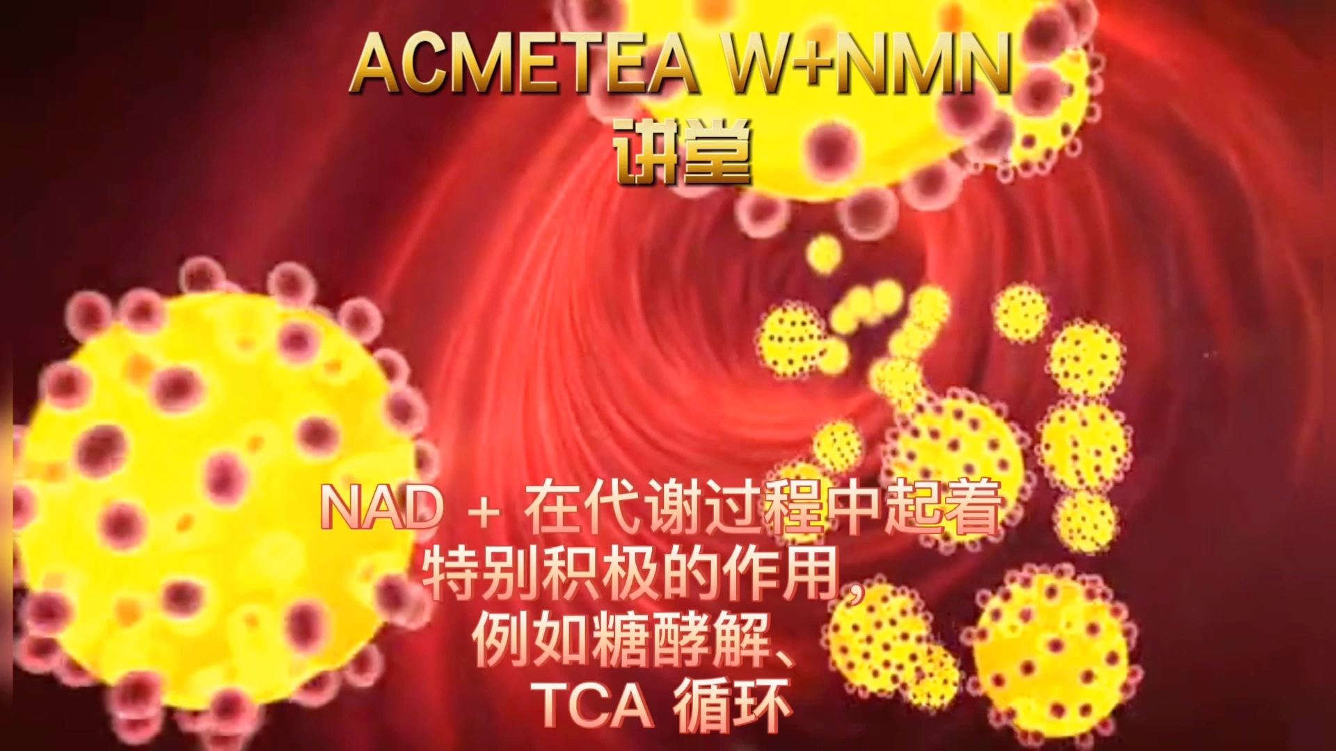 nmn是个什么东西
