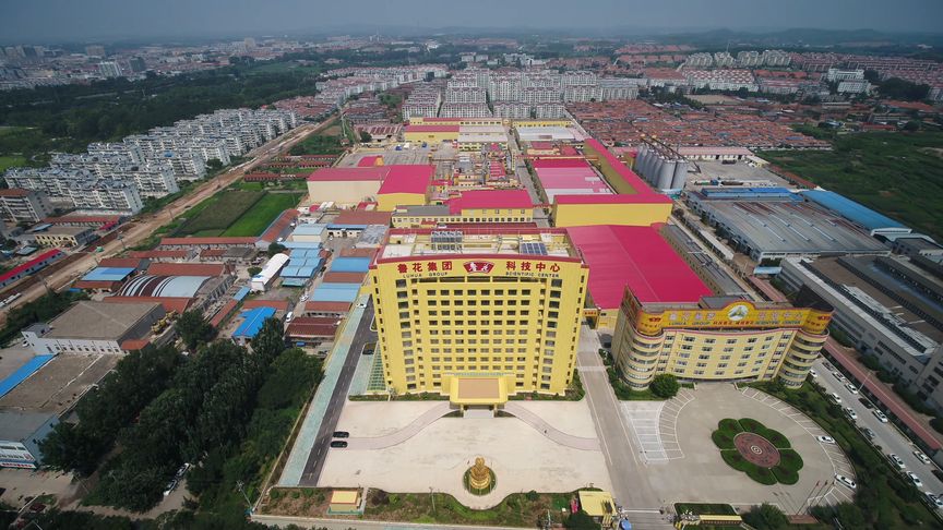 鲁花集团——中国最大的花生油生产企业,中国民族企业的骄傲