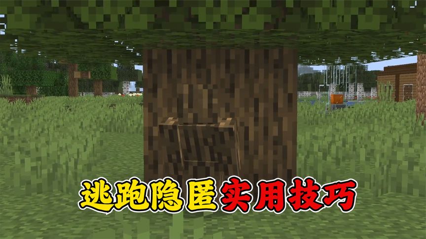 我的世界:五个逃跑隐匿小技巧,人物皮肤居然可以隐身