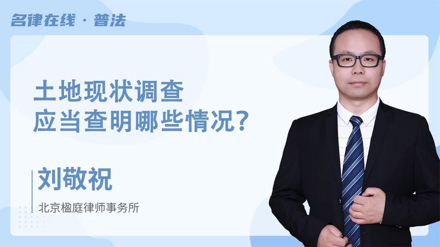土地现状调查应当查明哪些情况?