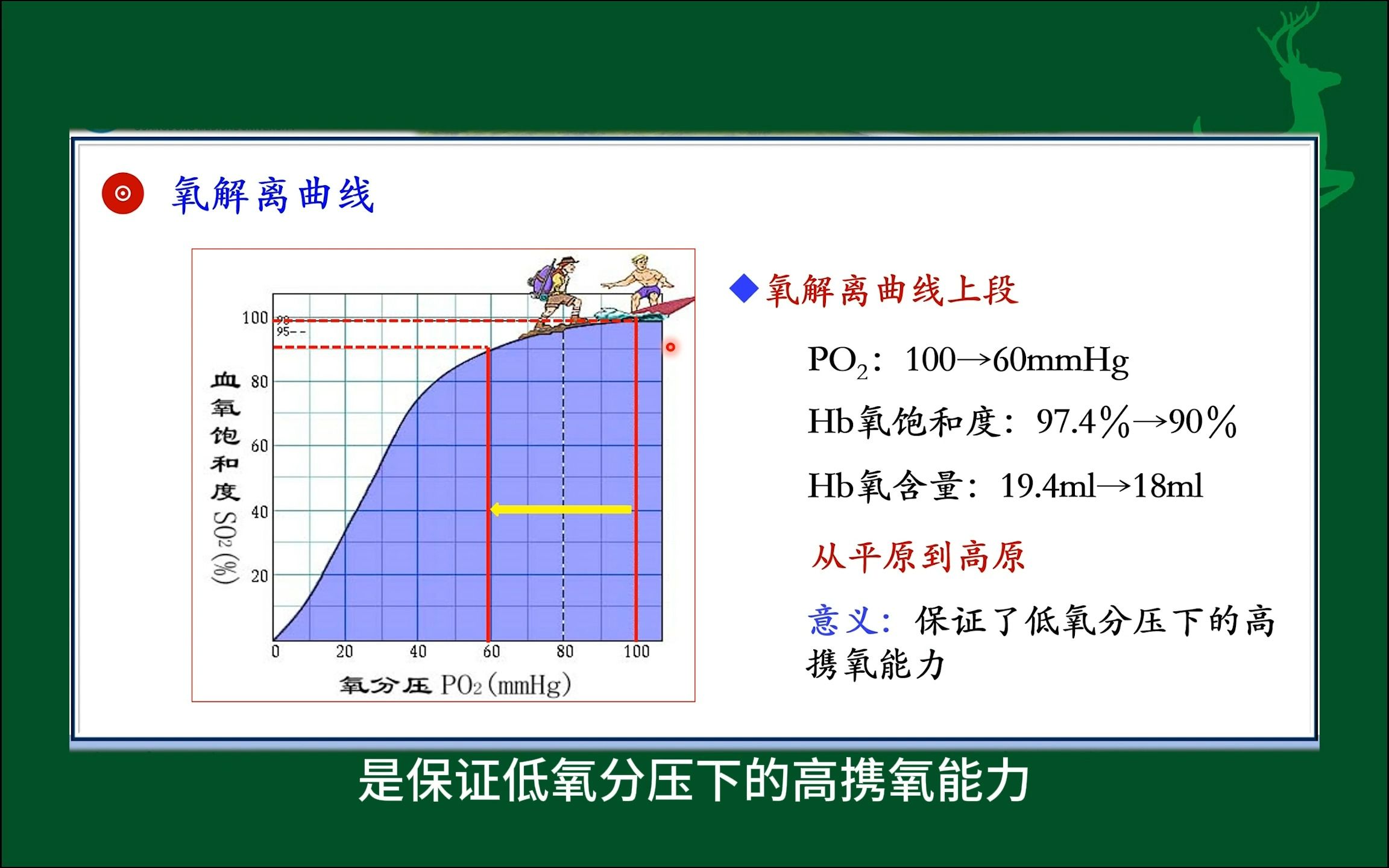 #氧解离曲线3人体生理学#医学知识科普#每天学习一点点