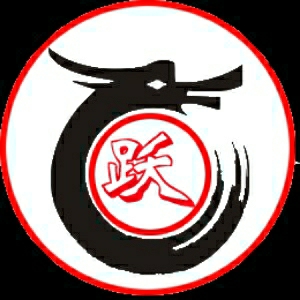 龙跃网络科技 