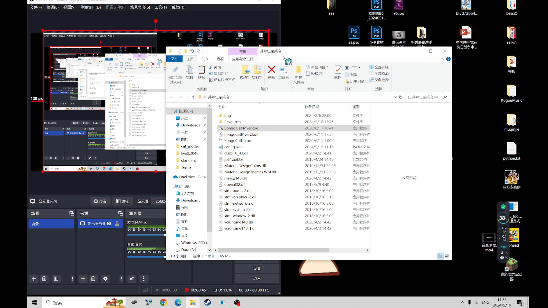 桌宠使用介绍和一些相关问题
