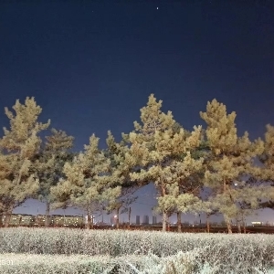 享受宁静的自我 