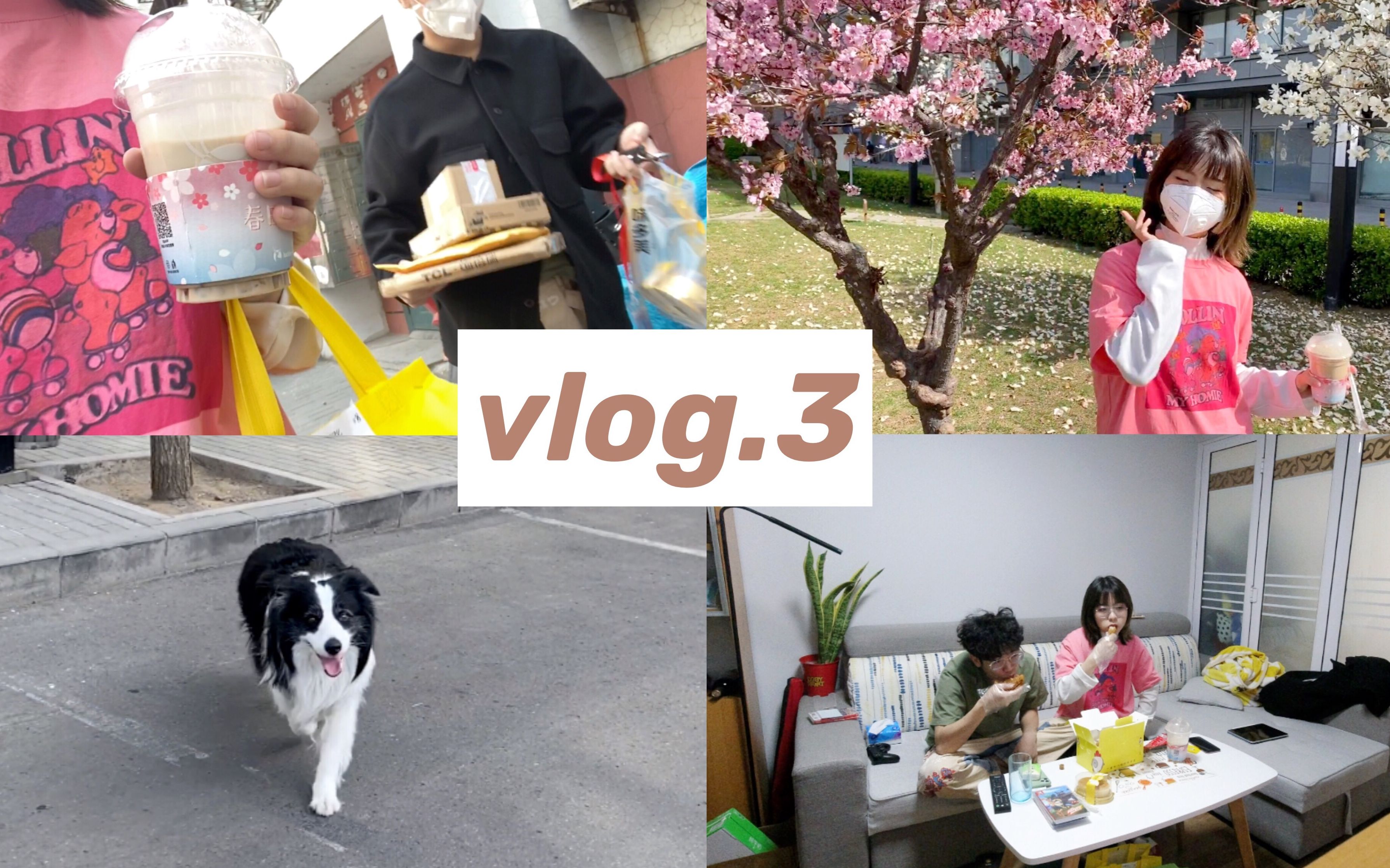 VLOG.3 周末生活日志 | 宅家活动三部曲 | 春日赏花记录