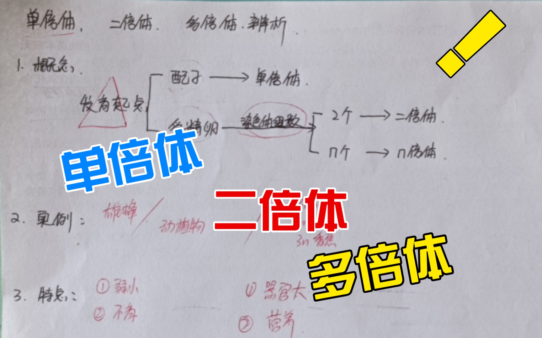 单倍体、二倍体、多倍体辨析