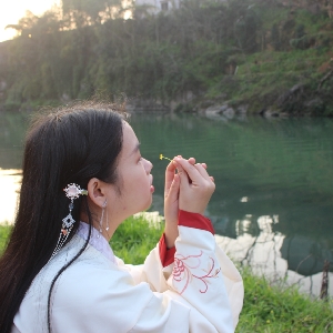 西西不争 