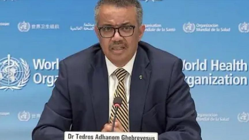 新冠病毒最早发现是何时?答案来了!