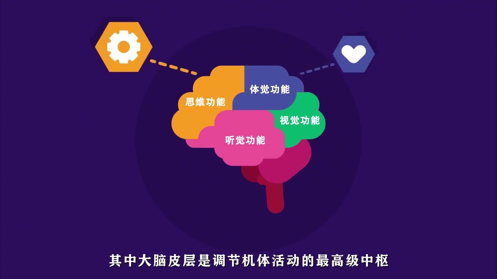 神经系统的基本结构 #生物 #知识