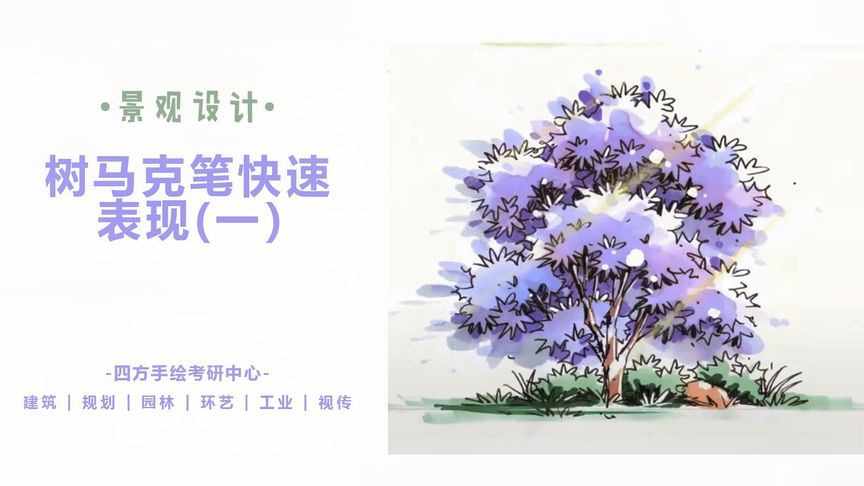 【风景园林手绘】景观设计,树马克笔快速表现,步骤简单效果唯美
