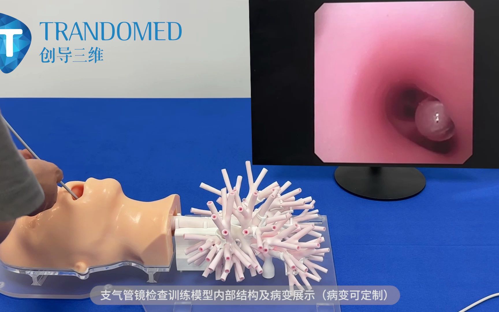 支气管镜检查训练模型