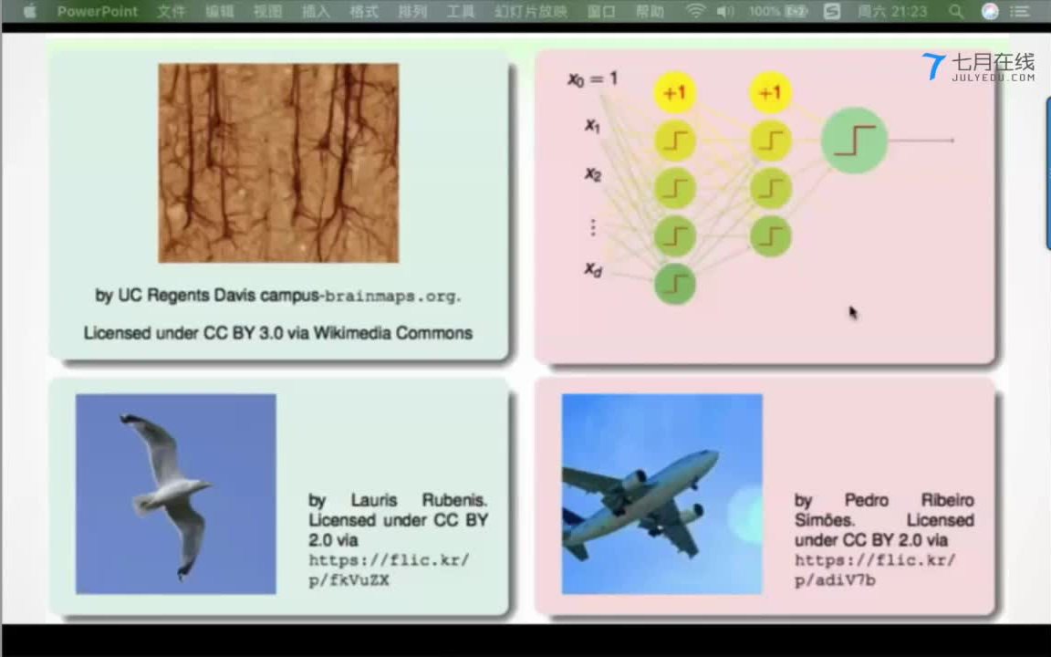 联结主义-神经网络的发展