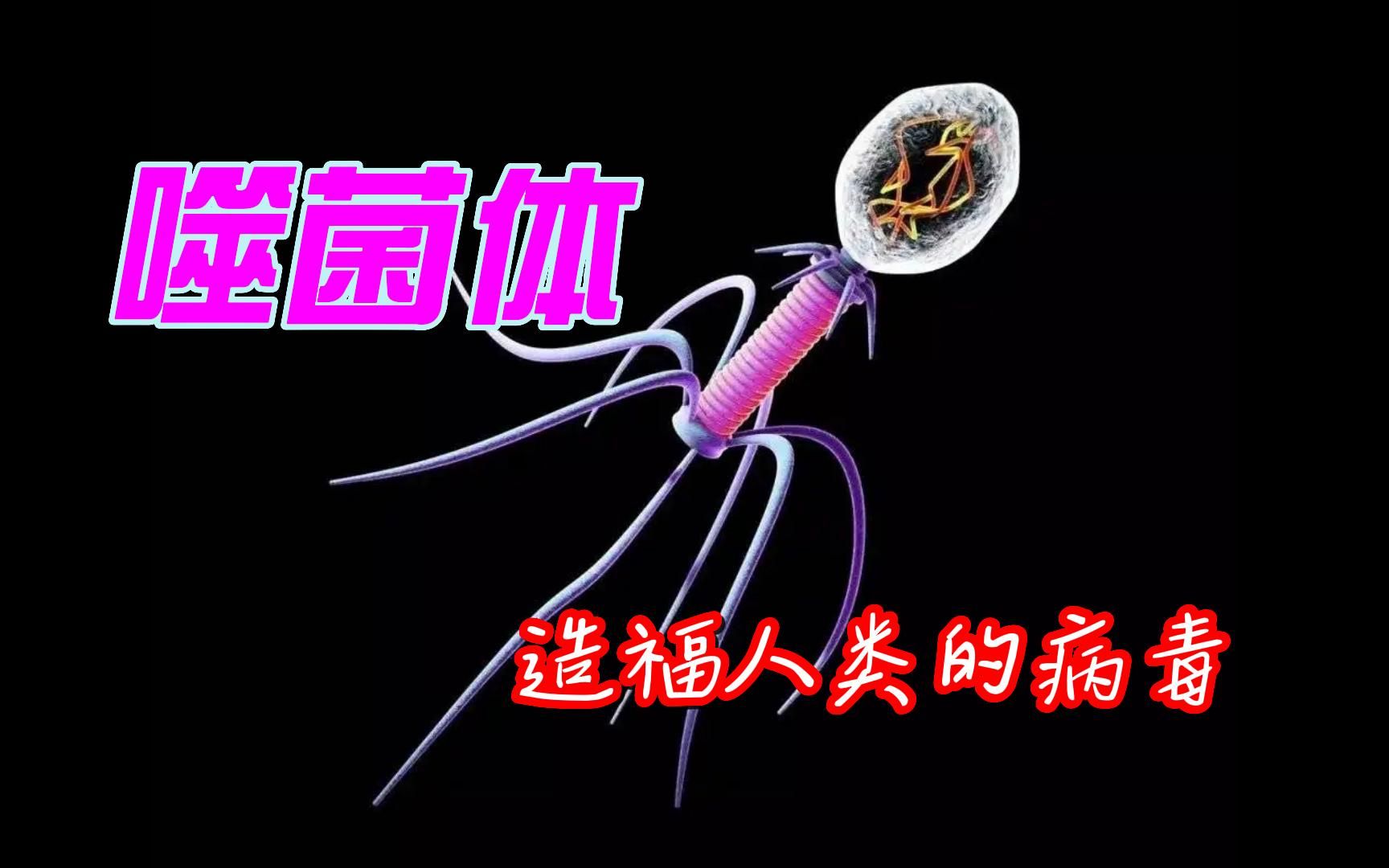 病毒都是有害的吗?这种病毒已被人类利用上百年
