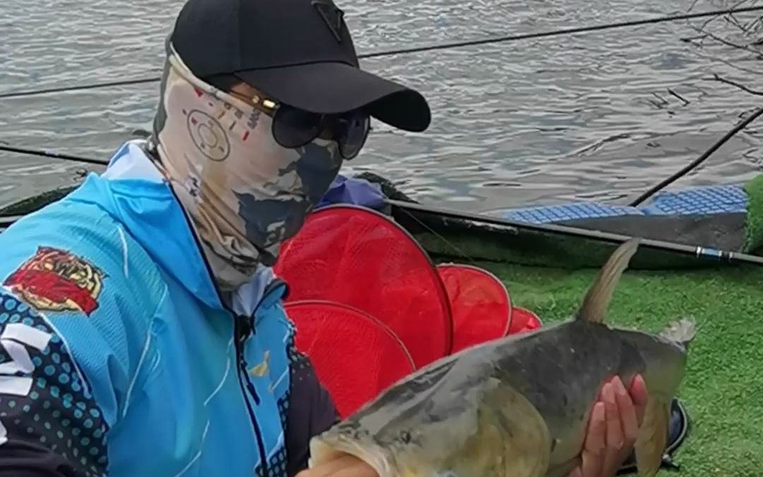 2022王者之战 A组小组赛首赛日精彩上鱼瞬间