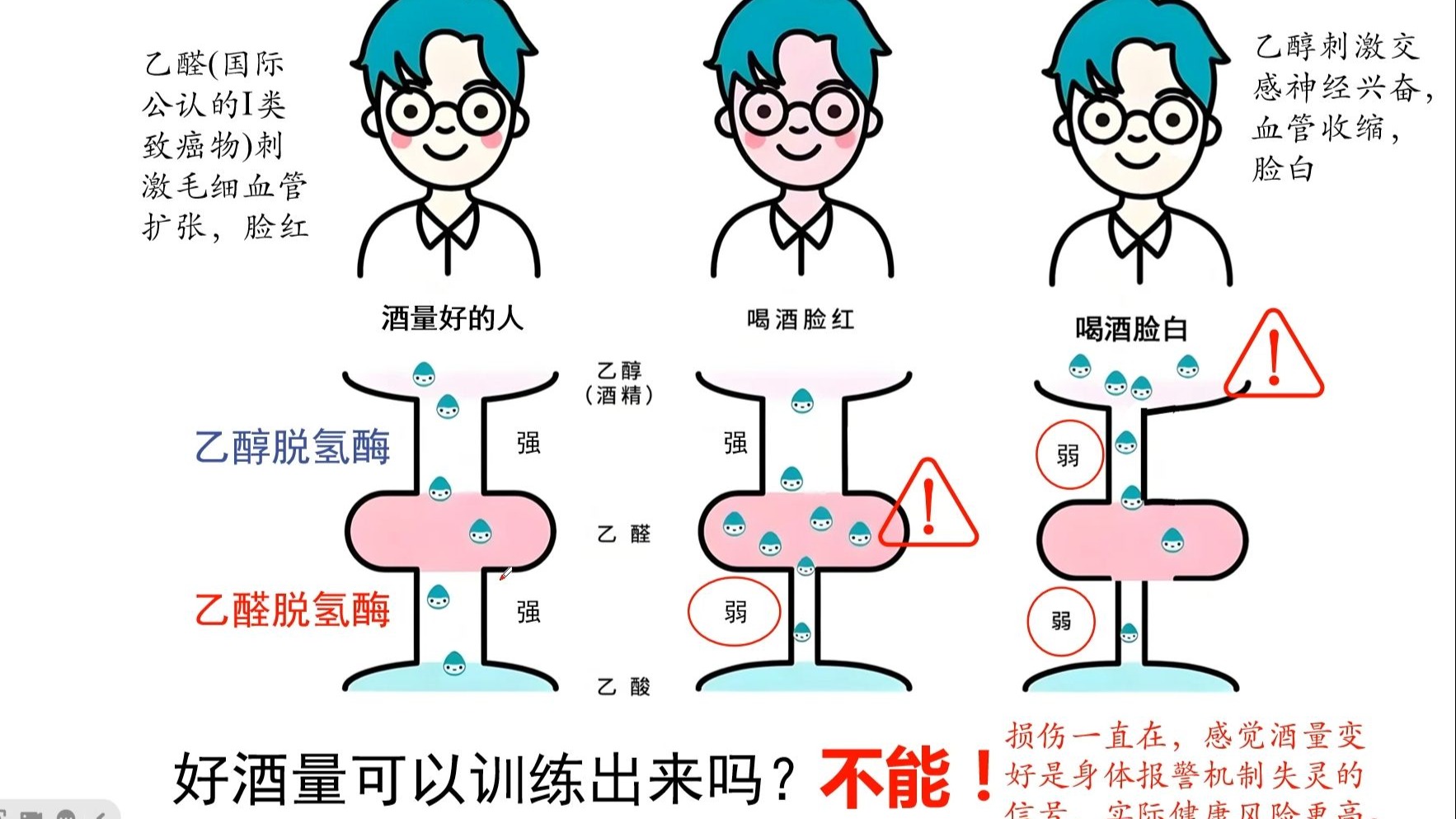4.2基因表达与性状的关系 第1节课