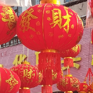 本人来看看你 
