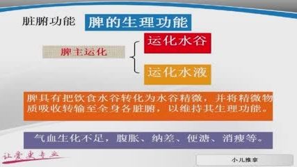 中医小儿推拿藏象学说 五脏 脾的功用