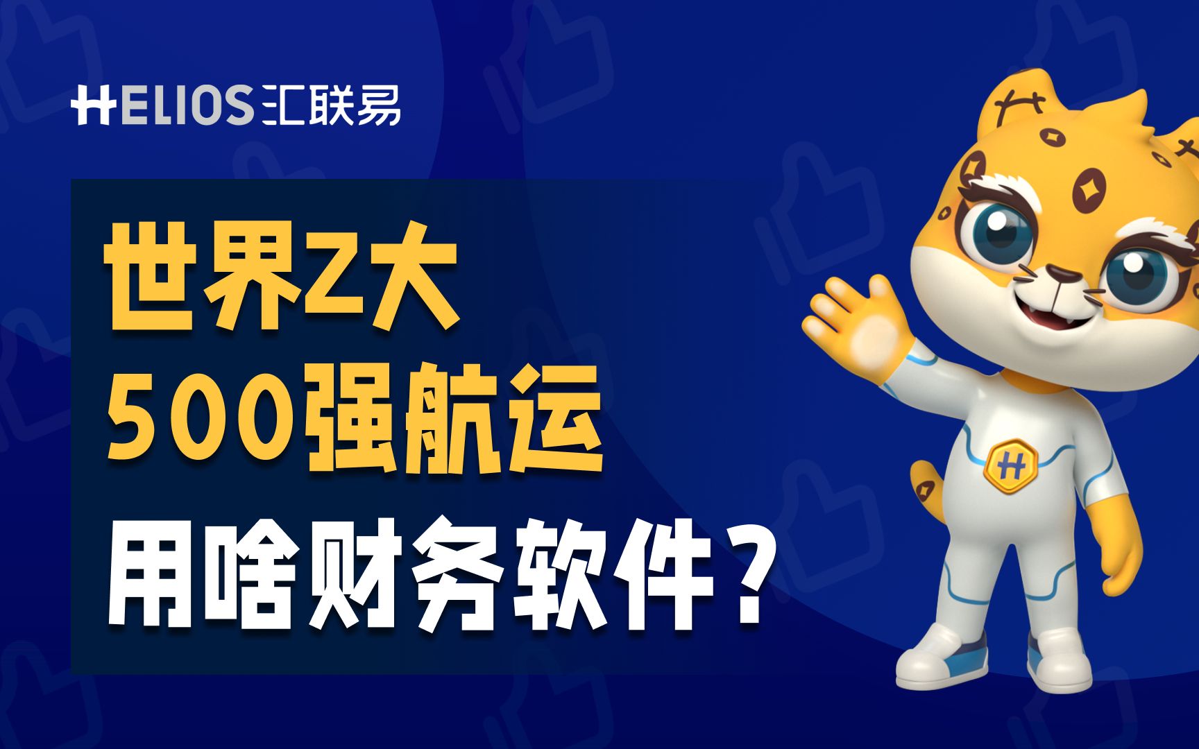 世界Z大500强航运用啥财务软件?