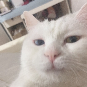 沉积岩专心背诵 