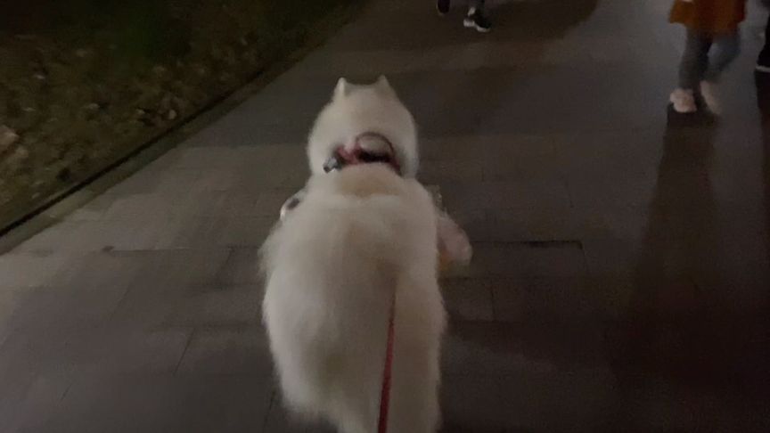 孩子长大了,要承担力所能及的家务劳动了～