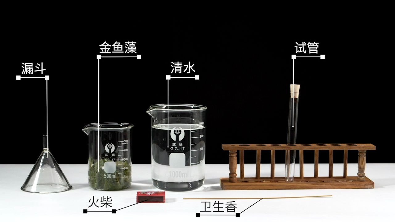 【生物】光合作用产生氧气