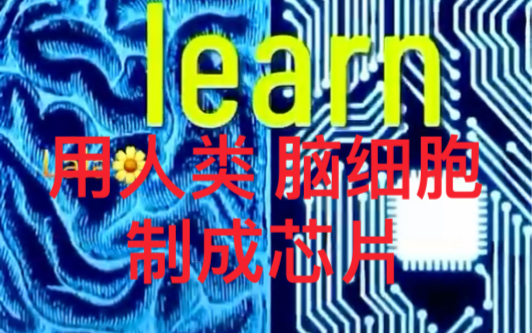 用人类的脑细胞制成的电脑芯片