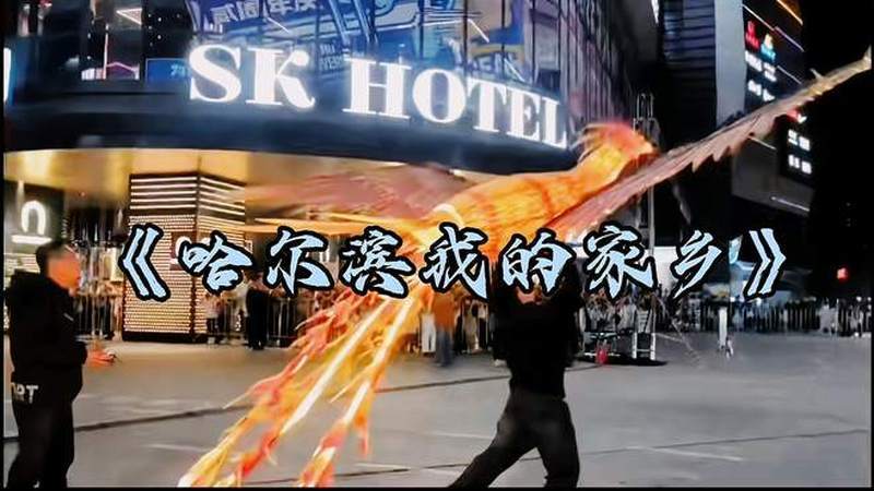 哈尔滨的美丽被南方的游客认可了,你要去看看吗?