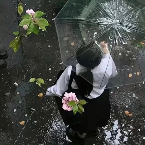 是解竹 